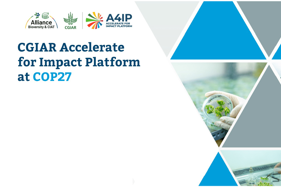 Accelerate for Impact Platform (A4IP)